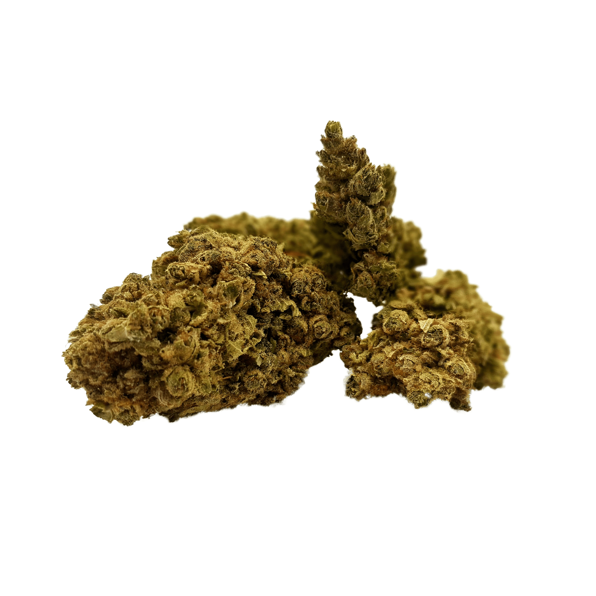 CBD Geneva Haze Queen Bio Indoor